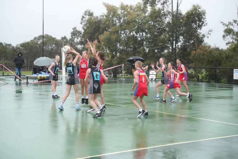 2019 Netball grand finals - U13 and U17 Runners up