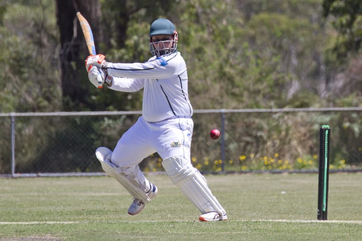 245 run opening stand sets up Hallora innings