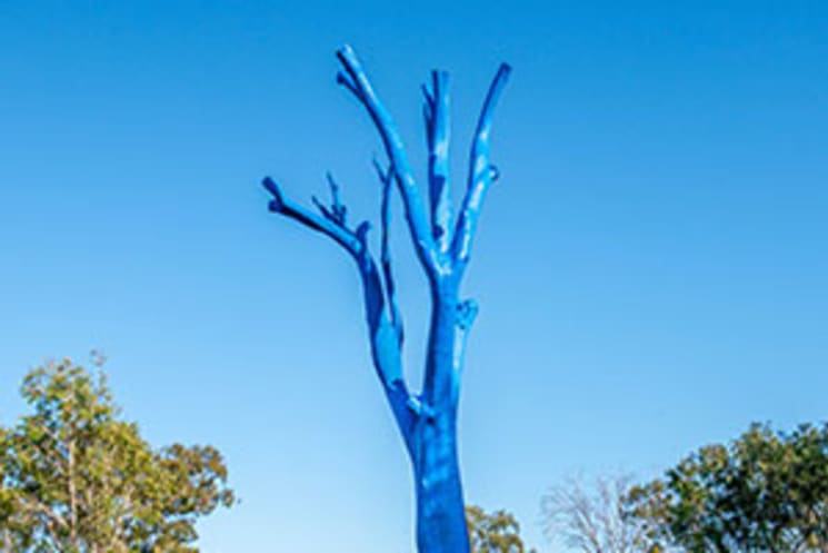 Blue Tree project gets Council nod